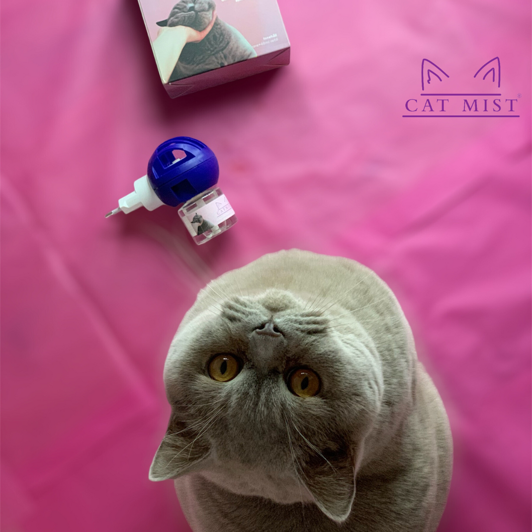 Catmist lugnande till katt